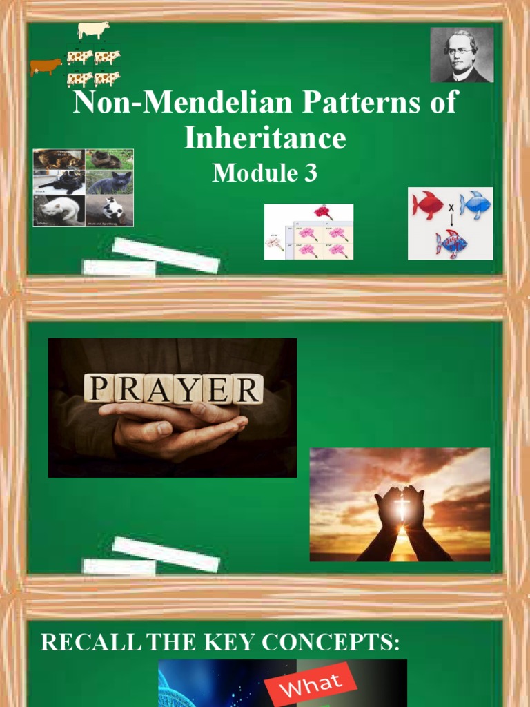 Non-Mendelian Inheritance Overview | PDF | Dominance (Genetics ...