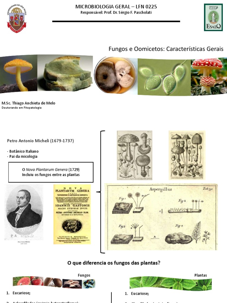 Fungos e Oomicetos - Características Gerais | PDF | Fungo | Plantas