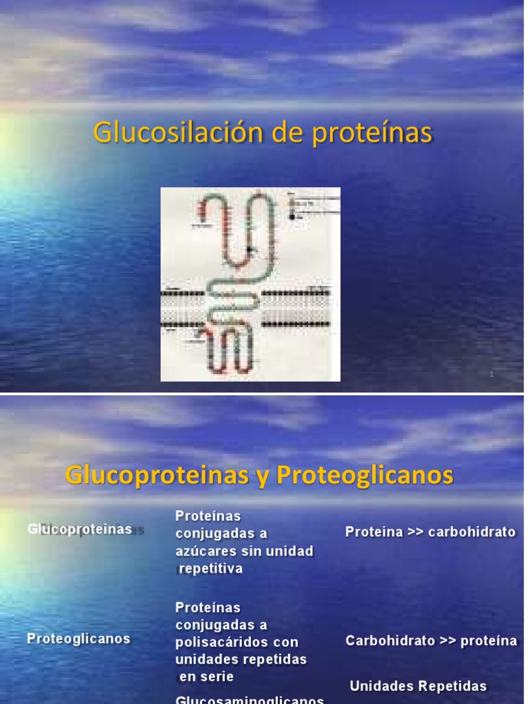 Glicosilacion de Proteinas | PDF | Carbohidratos | Biofísica