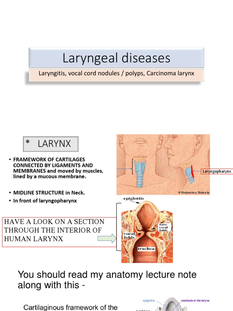 Laryngeal Diseases: Laryngitis, Vocal Cord Nodules / Polyps, Carcinoma ...