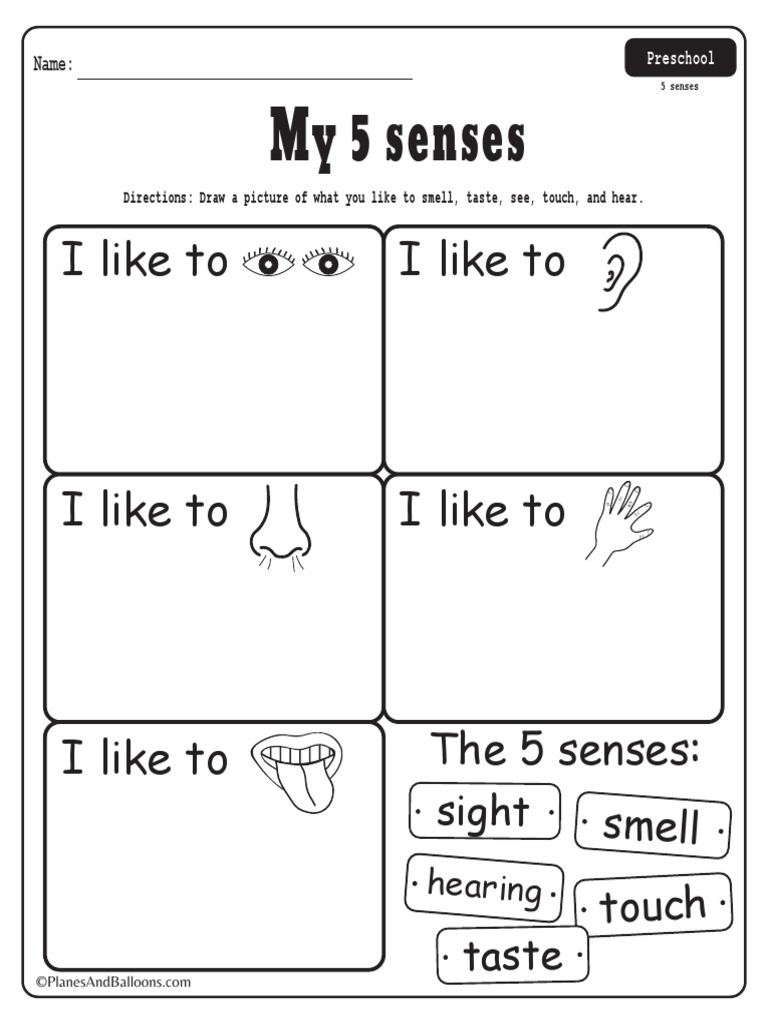 5 Senses Preschool Worksheets PDF | PDF