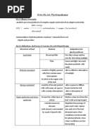 Nat Test N4 - 20230615 - 0001 | PDF