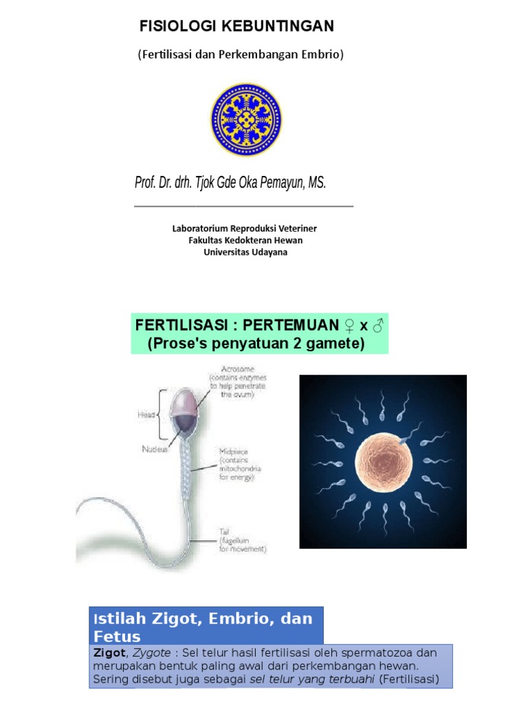Fertilisasi | PDF | Sains & Matematika