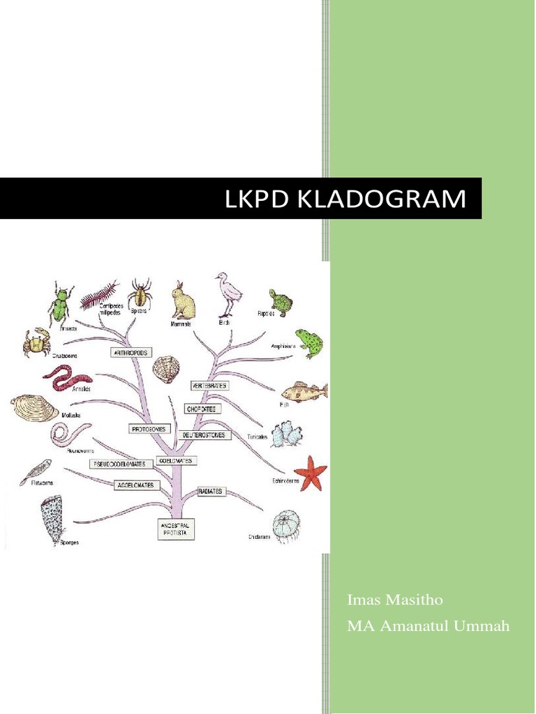 LKPD Kladogram | PDF