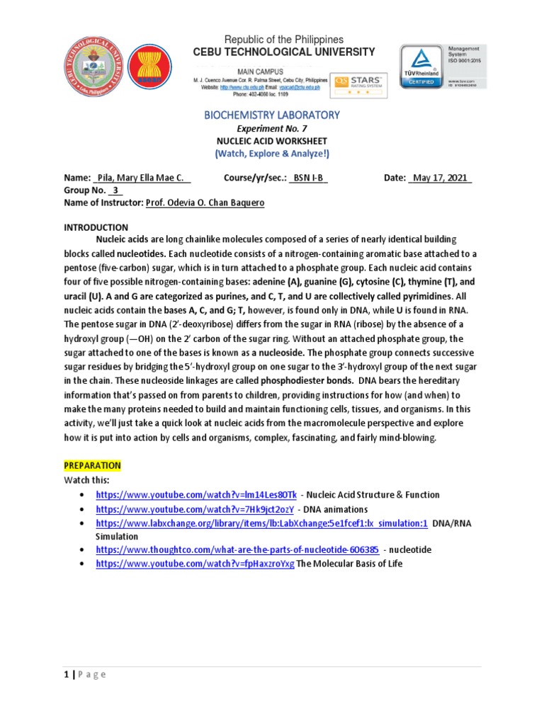 Expt. 7 Nucleic Acid Worksheet | PDF | Messenger Rna | Translation ...