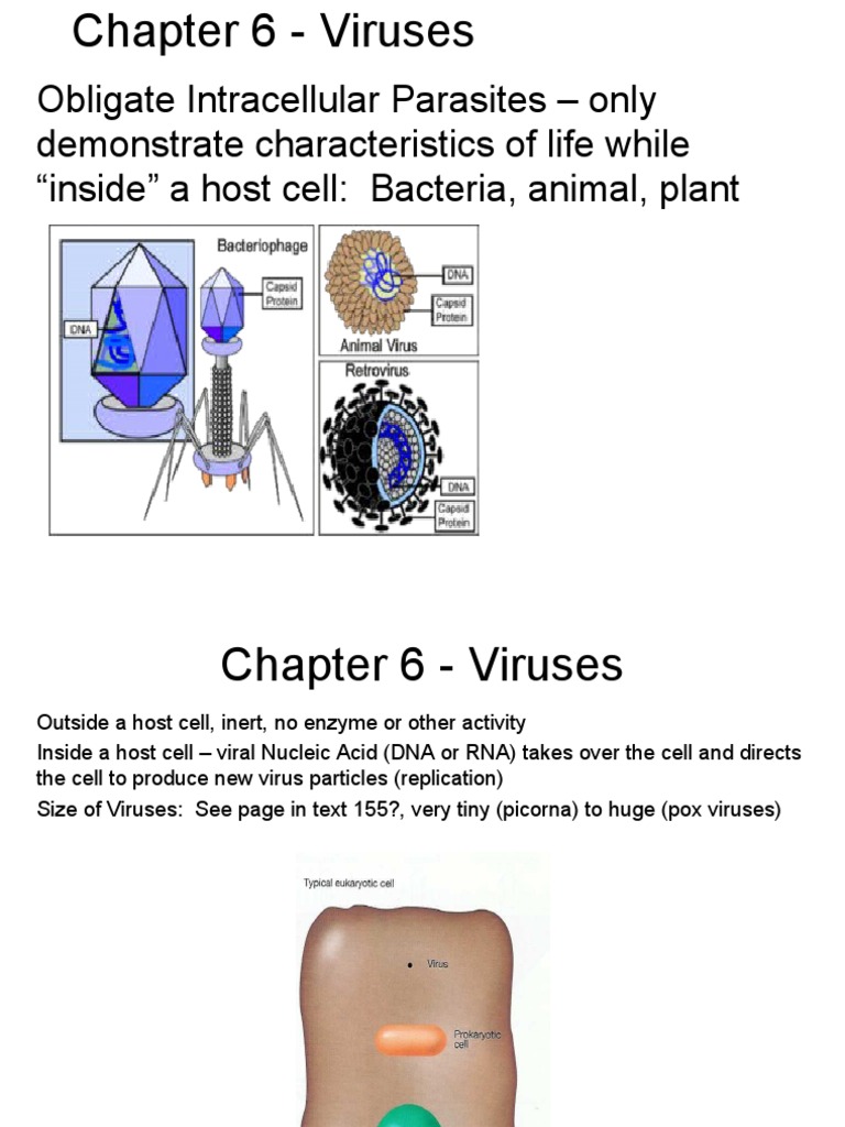 Obligate Intracellular Parasites - Only Demonstrate Characteristics of ...