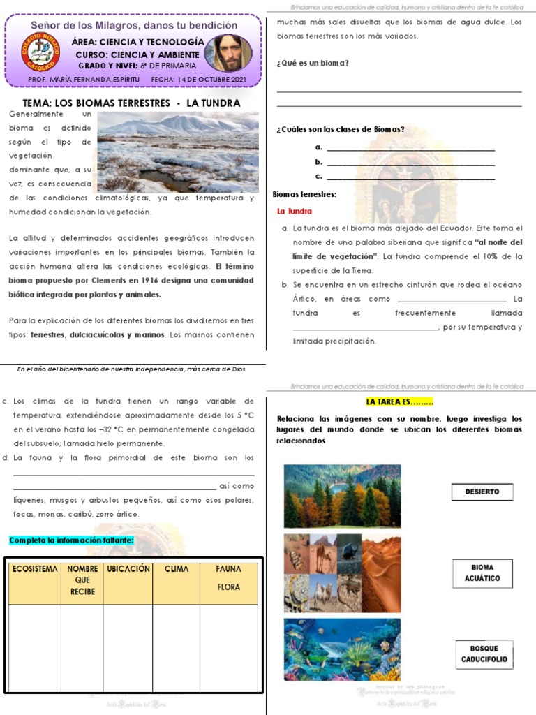 Los Biomas - La Tundra | PDF | Geografía Física | Entorno natural