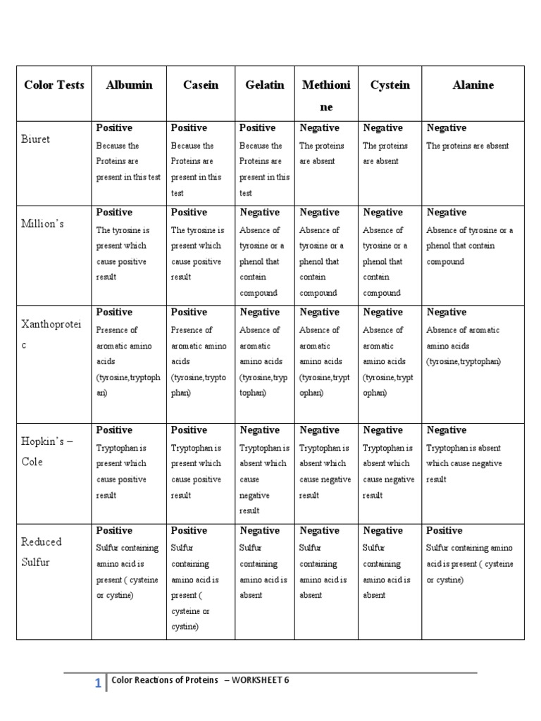 6 Worksheet Color Reaction of Proteins | PDF | Tryptophan | Amino Acid