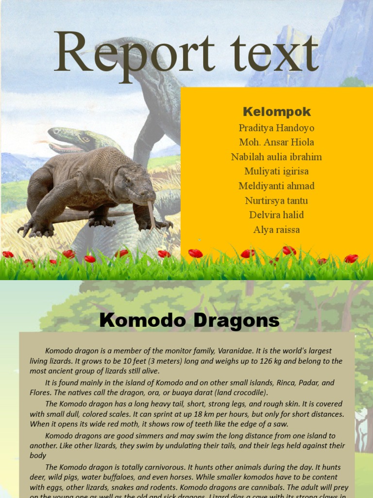 Report Text - Komodo Dragon | PDF | Komodo Dragon | Lizard
