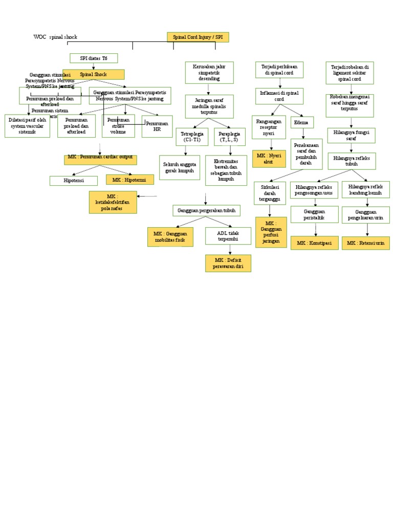 WOC Spinal Shock | PDF