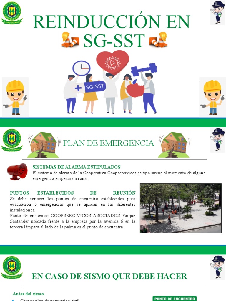 Reinducción en SG-SST | PDF | Valores