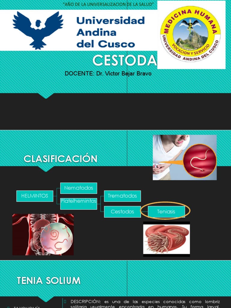 CESTODOS | PDF | Especialidades Medicas