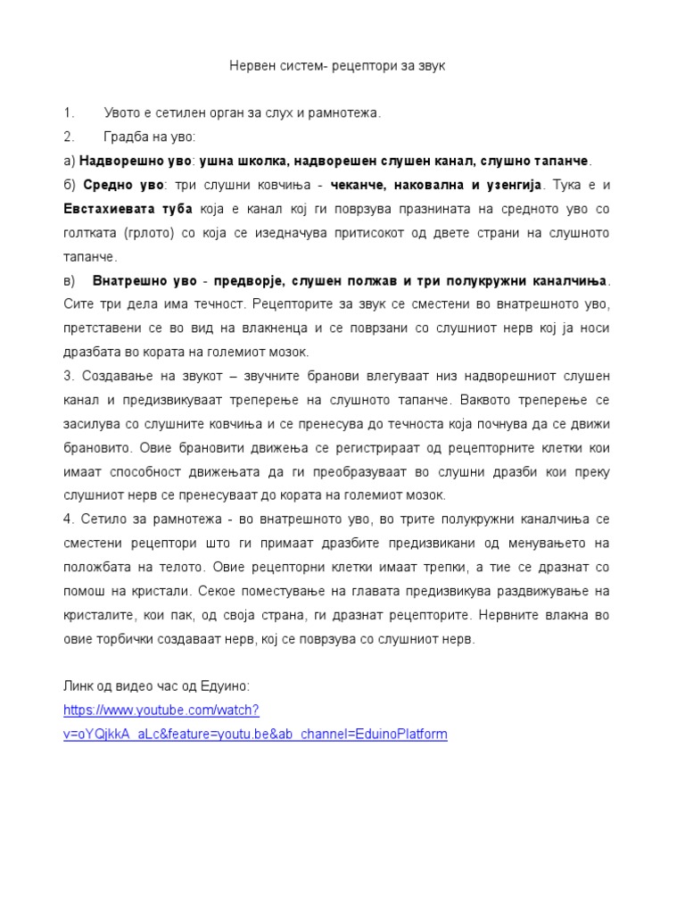 Nerven Sistem-Receptori Za Zvuk | PDF