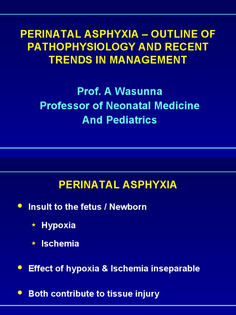 Perinatal Asphyxia 1 | PDF | Ischemia | Cerebral Cortex