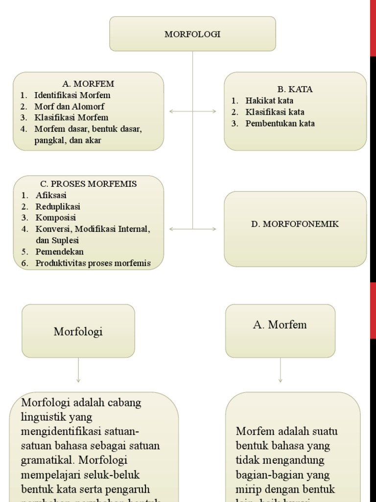 Dasar-Dasar Morfologi 2-1 | PDF