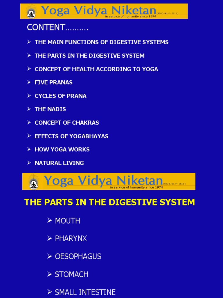 CONTENT .: The Main Functions of Digestive Systems | PDF | Human ...