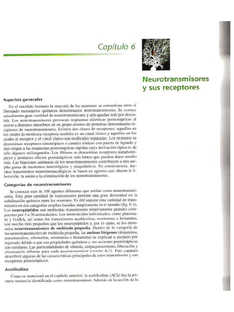 Dale Purves-Neurociencia-Panamericana Editorial (2007) 2 | PDF
