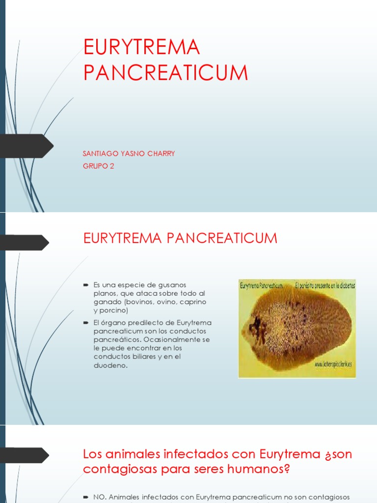 Eurytrema pancreaticum: Un parásito que afecta principalmente al ganado ...