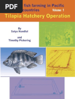 Tilapia Feeding Guide