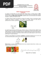 El-Chichipince Investigacion DD PDF | PDF | Organismos | Plantas