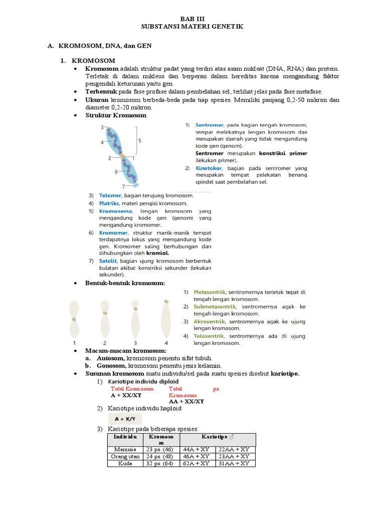 Bab Iii Substansi Materi Genetik Kelas 12-1 | PDF