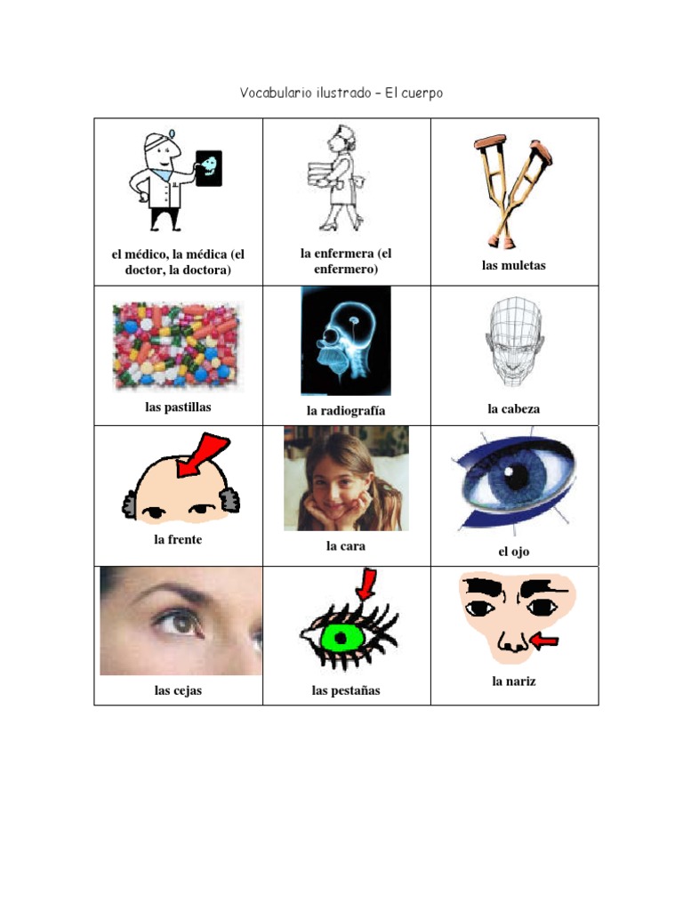 Vocabulario Ilustrado - El Cuerpo | PDF