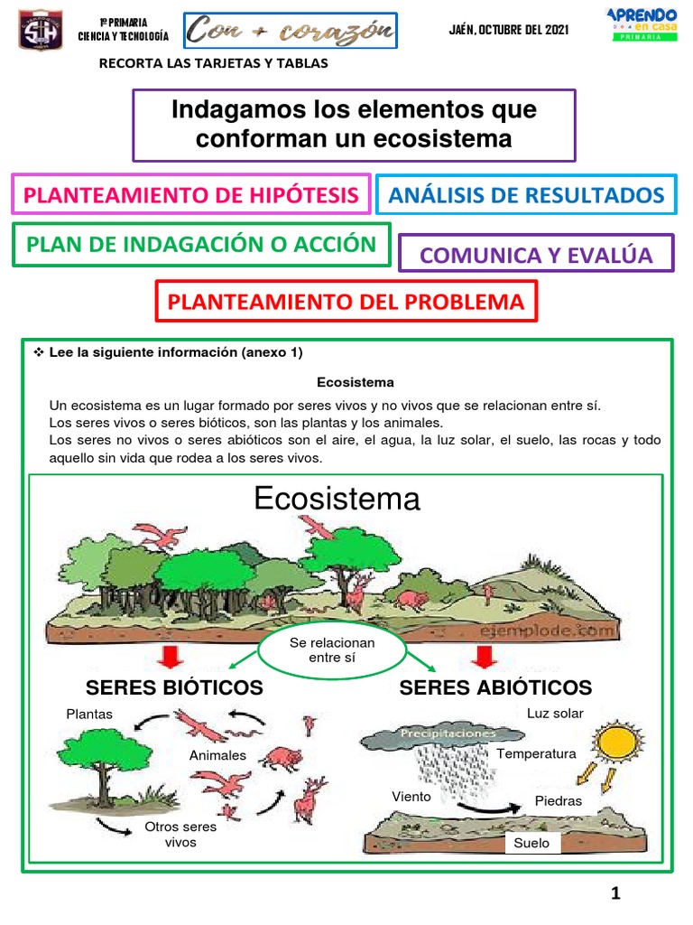 Hojas De Trabajo Sobre La Ciencia De Los Ecosistemas DOC) Historia De