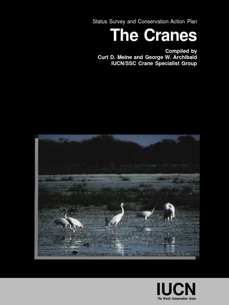 The Cranes | PDF | Conservation Biology | International Union For ...