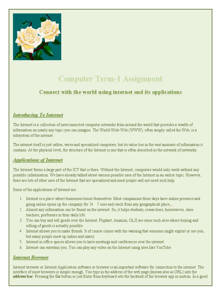 Computer Term-1 Assignment: Connect With The World Using Internet and ...