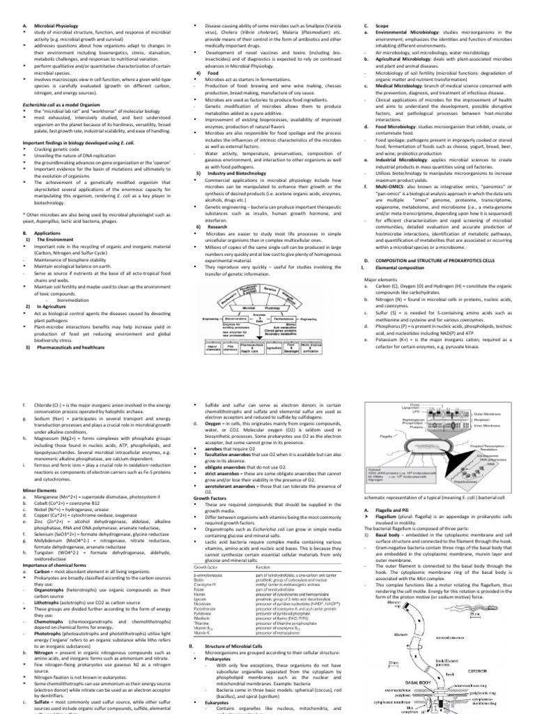 Overview of Microbial Physiology | PDF | Bacteria | Cell Membrane