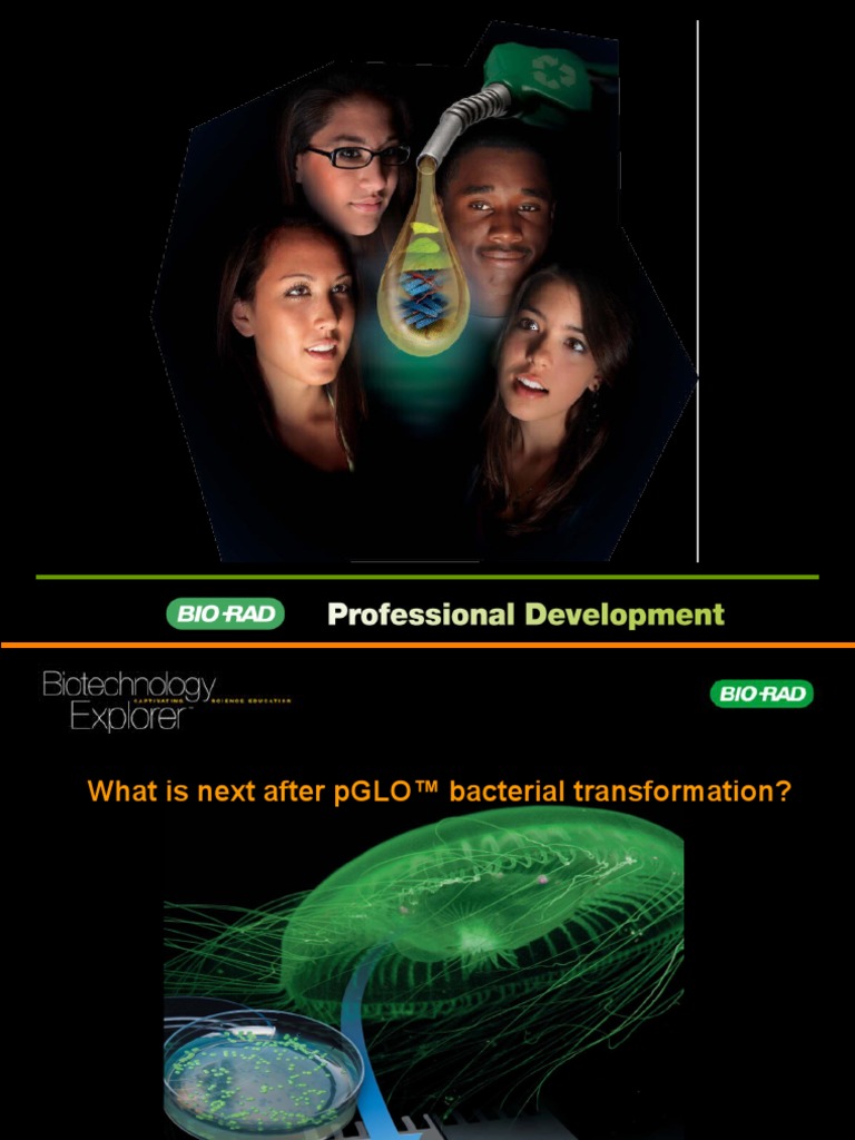 PGLO GFP Purification Electrophoresis and Chromatography | PDF | Gel ...