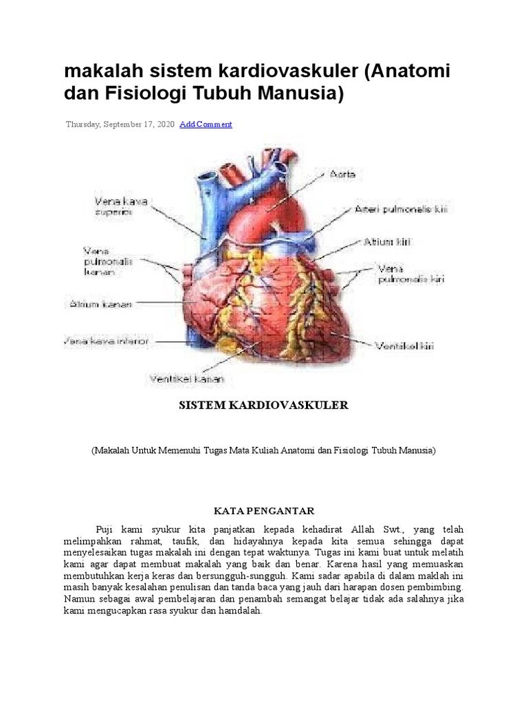 Makalah Sistem Kardiovaskuler | PDF