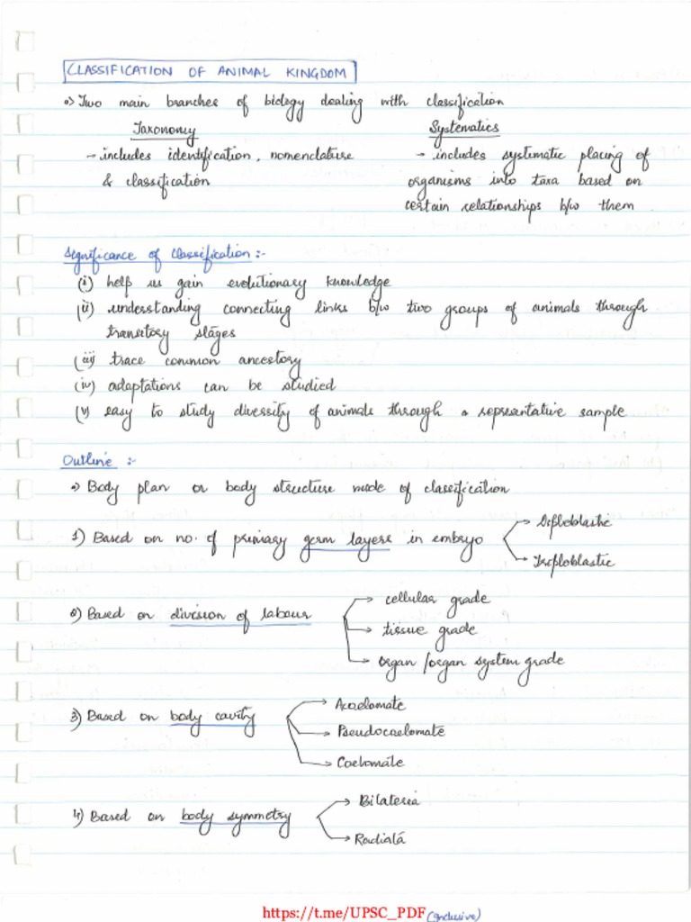 Zoology Notes Non Chordates | PDF