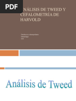 Teoría de La Matriz Funcional de Melvin Moss | PDF | Cráneo | Ortodoncia