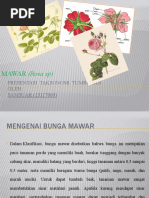 Klasifikasi Dan Morfologi Bunga Mawar | PDF | Griya & Taman