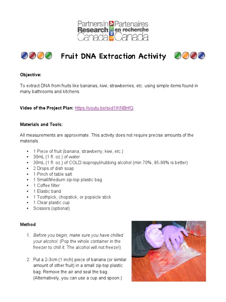 Fruit DNA Extraction Activity: Objective | PDF | Solubility | Detergent
