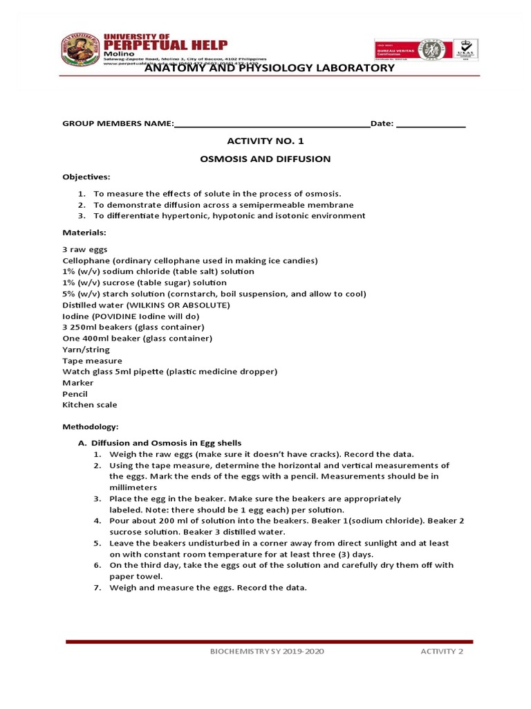 Biochem Lab Activity 1-20-21 1 | PDF | Osmosis | Chemistry