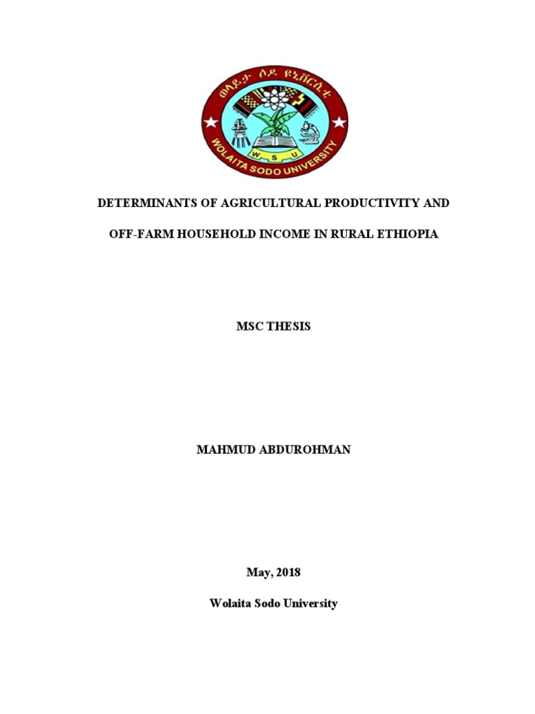 Agricultural Productivity in Rural Ethiopia | PDF | Agriculture ...