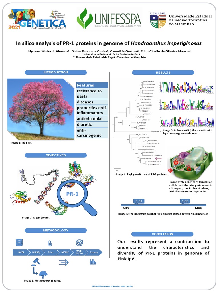 Banner SBG | Download Free PDF | Proteins | Cell Biology