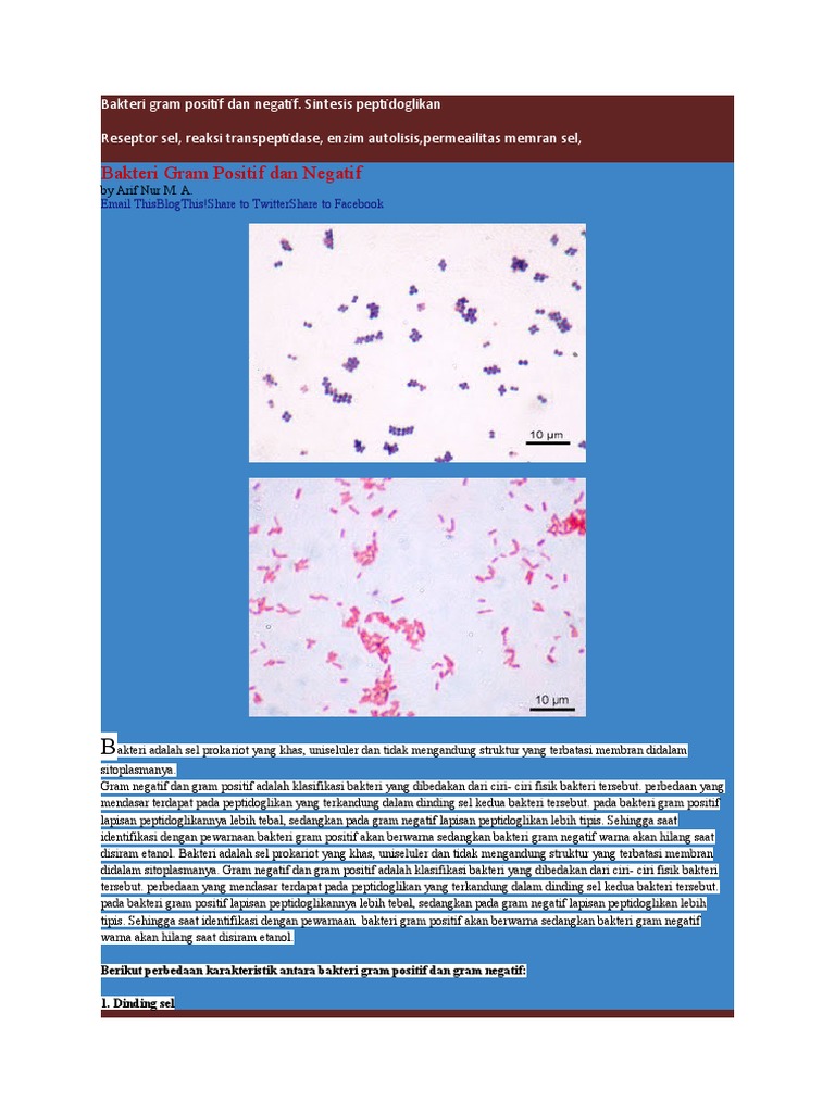 Dokumen - Tech Bakteri Gram Positif Dan Negatif | PDF
