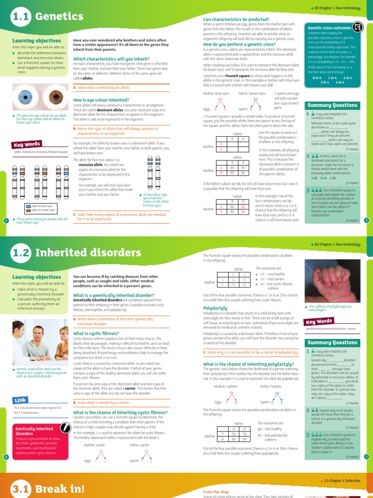 PREVIEW Activate Student Book 3 | Download Free PDF | Dominance ...