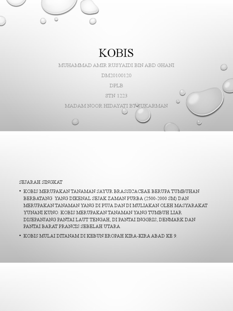 Panduan Lengkap Budidaya Kobis | PDF