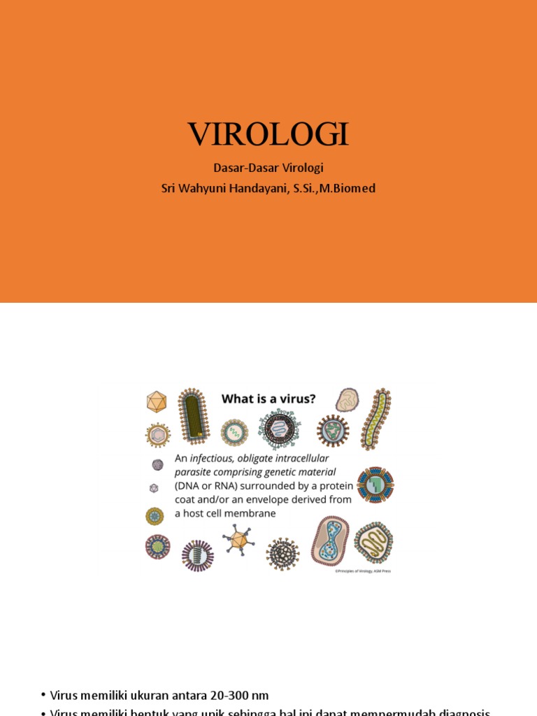 Virologi Pertemuan 2 (Praktikum) | PDF