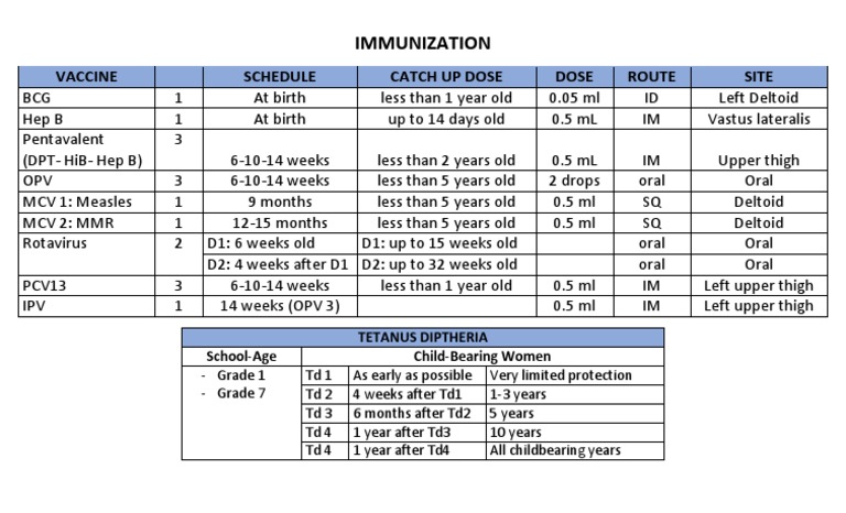 Immunization: Vaccine Schedule Catch Up Dose Dose Route Site | PDF ...