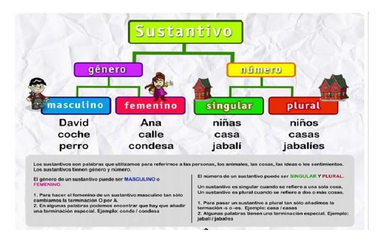 Mapa_Conceptual_Género_y_Número_en_el_sustantivo2 | PDF