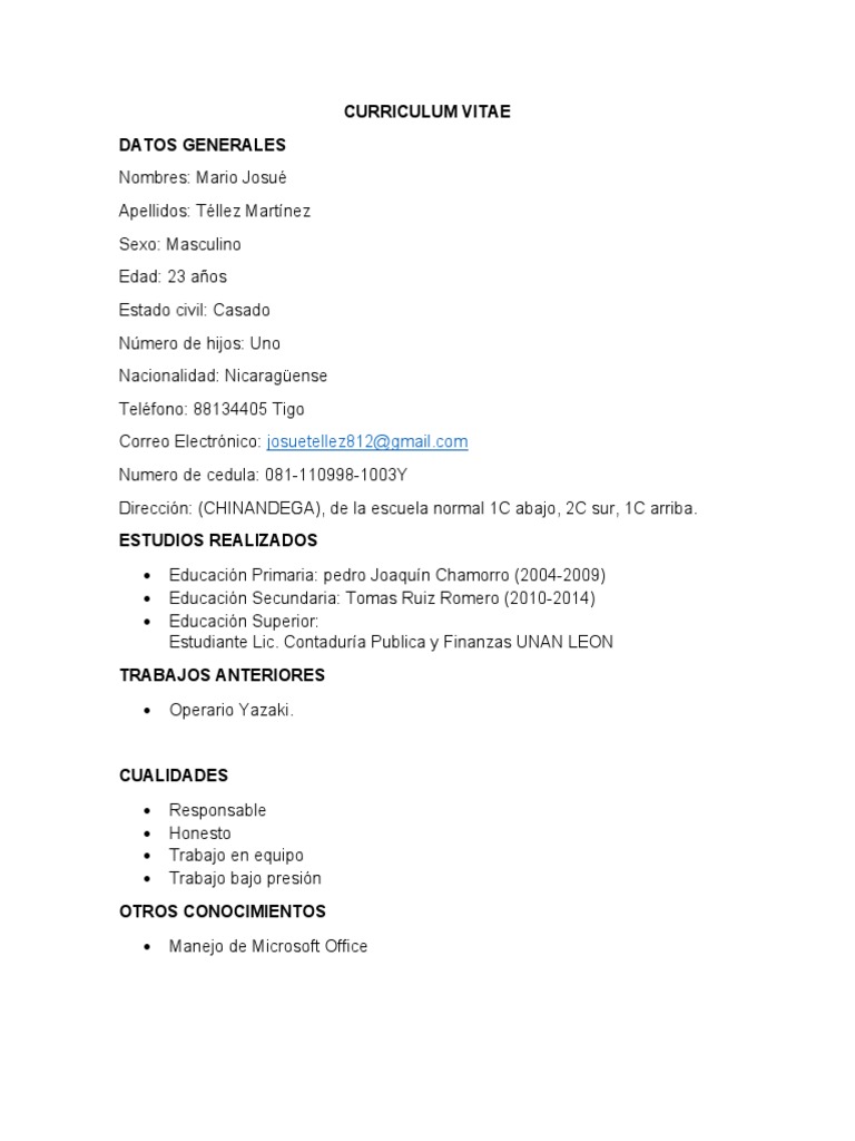 Curriculum Vitae Mario | PDF