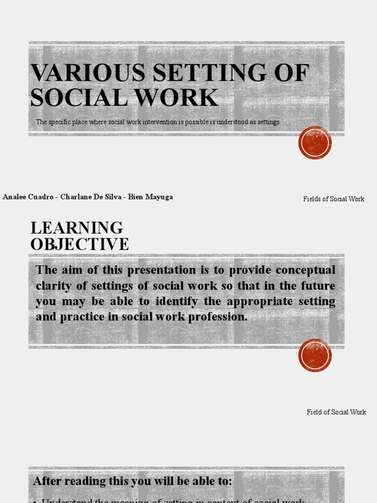 Overview of Social Work Settings | PDF | Social Work | Patient
