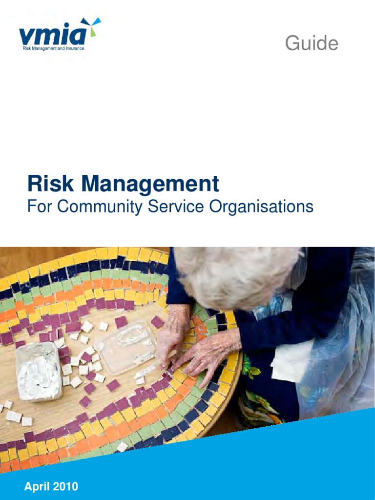 Risk Management Guide Cso 2010 Sample Pdf Risk Management Risk