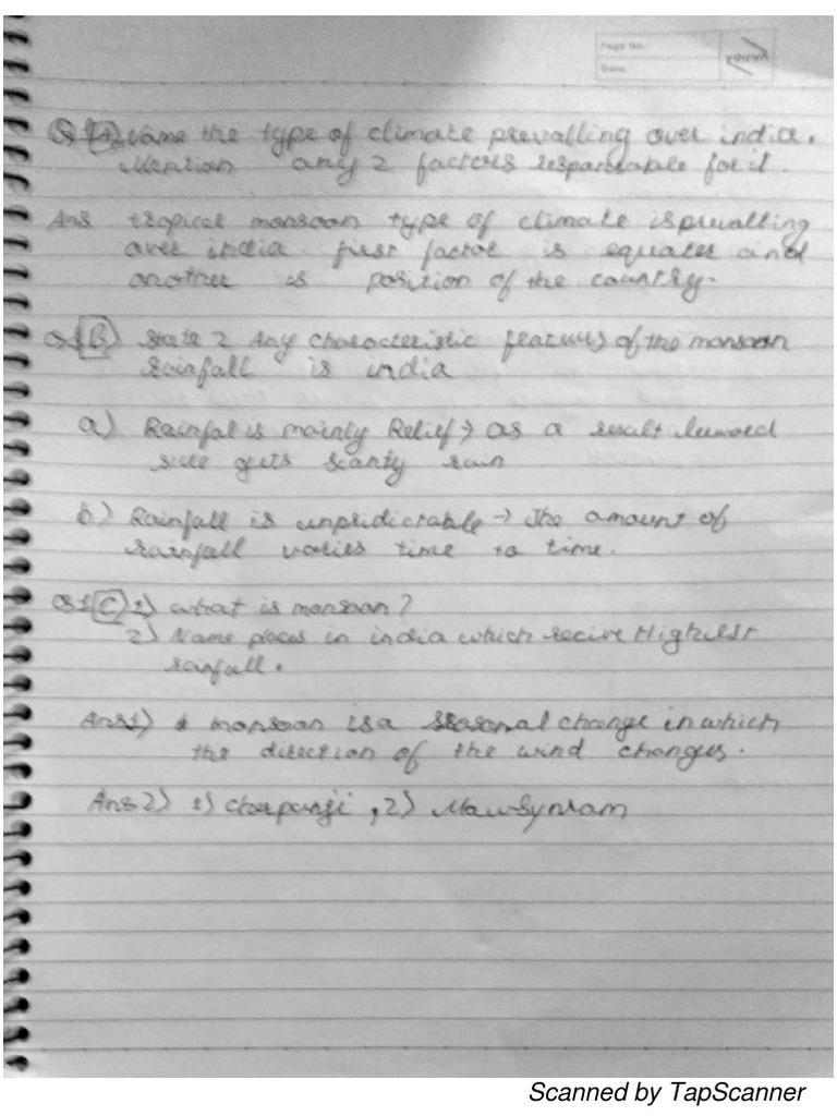 TapScanner Document Scan Overview | PDF