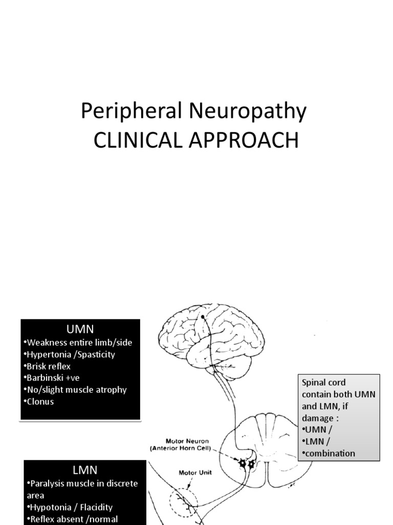 Peripheral Neuropathy Clinical Approach | PDF | Peripheral Neuropathy ...